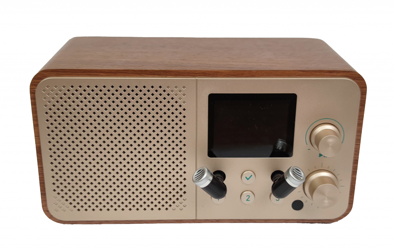 Muse Luxe Speaker v2 – RASPIAUDIO